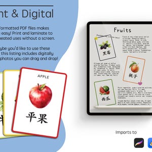 Simplified Chinese Fruit Flashcards Vocabulary Mandarin Bilingual ...