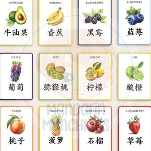 Simplified Chinese Fruit Flashcards Vocabulary Mandarin Bilingual ...