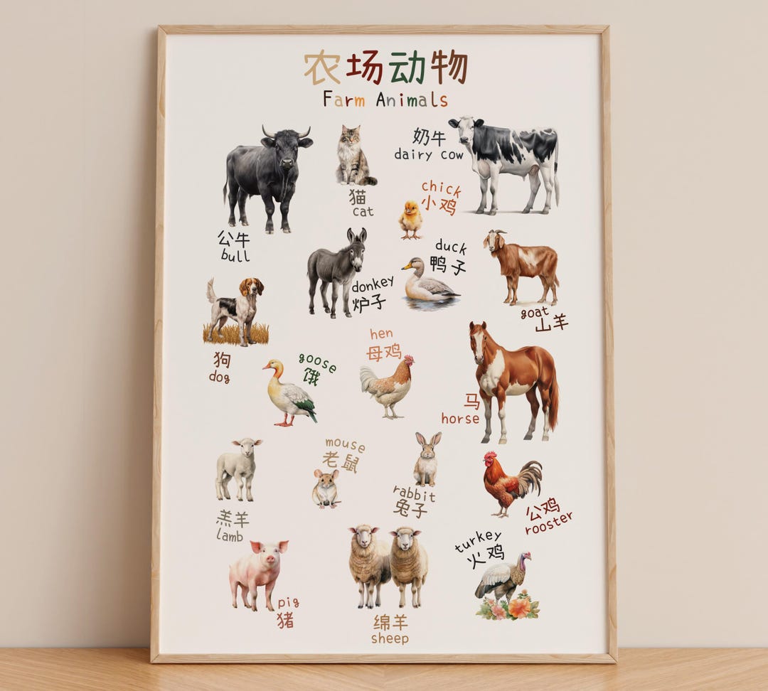 Chinese on the Farm Animals Vocabulary Educational Poster Mandarin ...