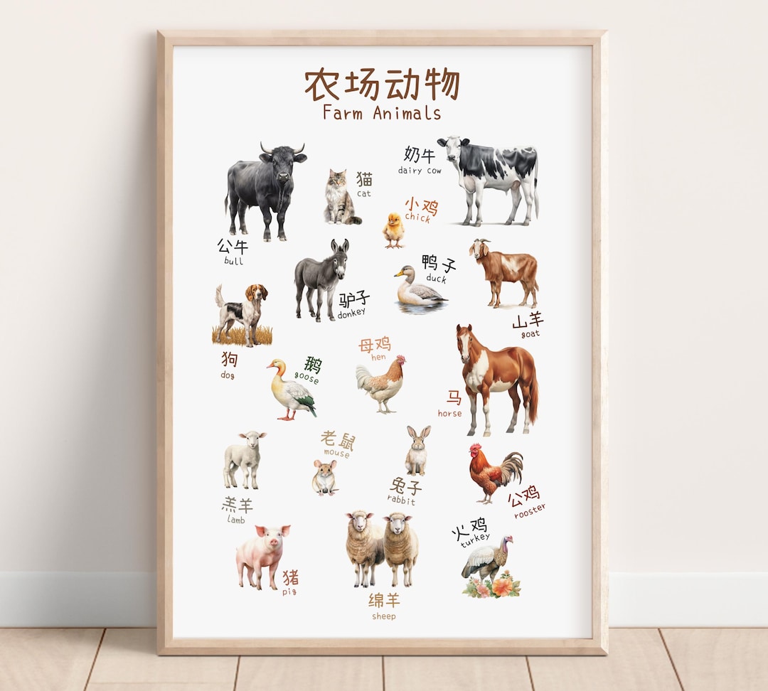 Chinese Farm Animals Poster: Bilingual Mandarin Kids Classroom Art ...