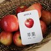 Chinese Fruit Flashcards: Bilingual Mandarin Learning Cards (digital ...