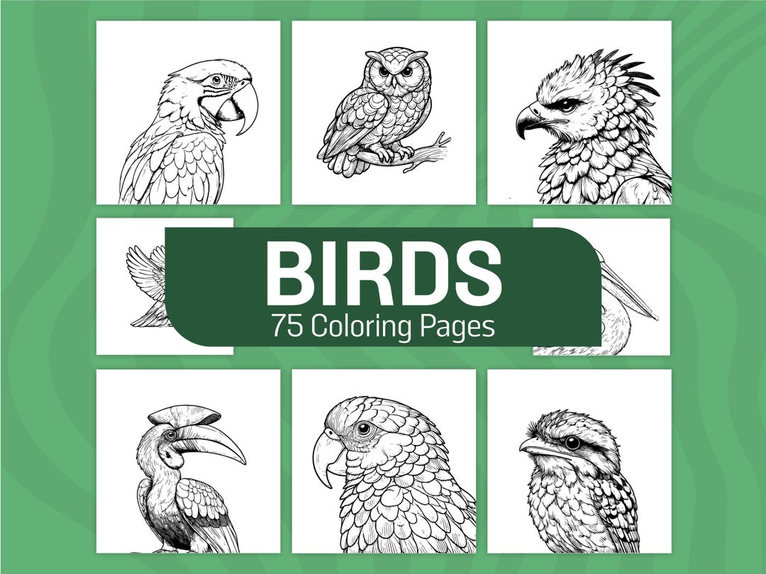 Birds Coloring Pages | Bird Species Coloring Sheets for Kids & Adults ...