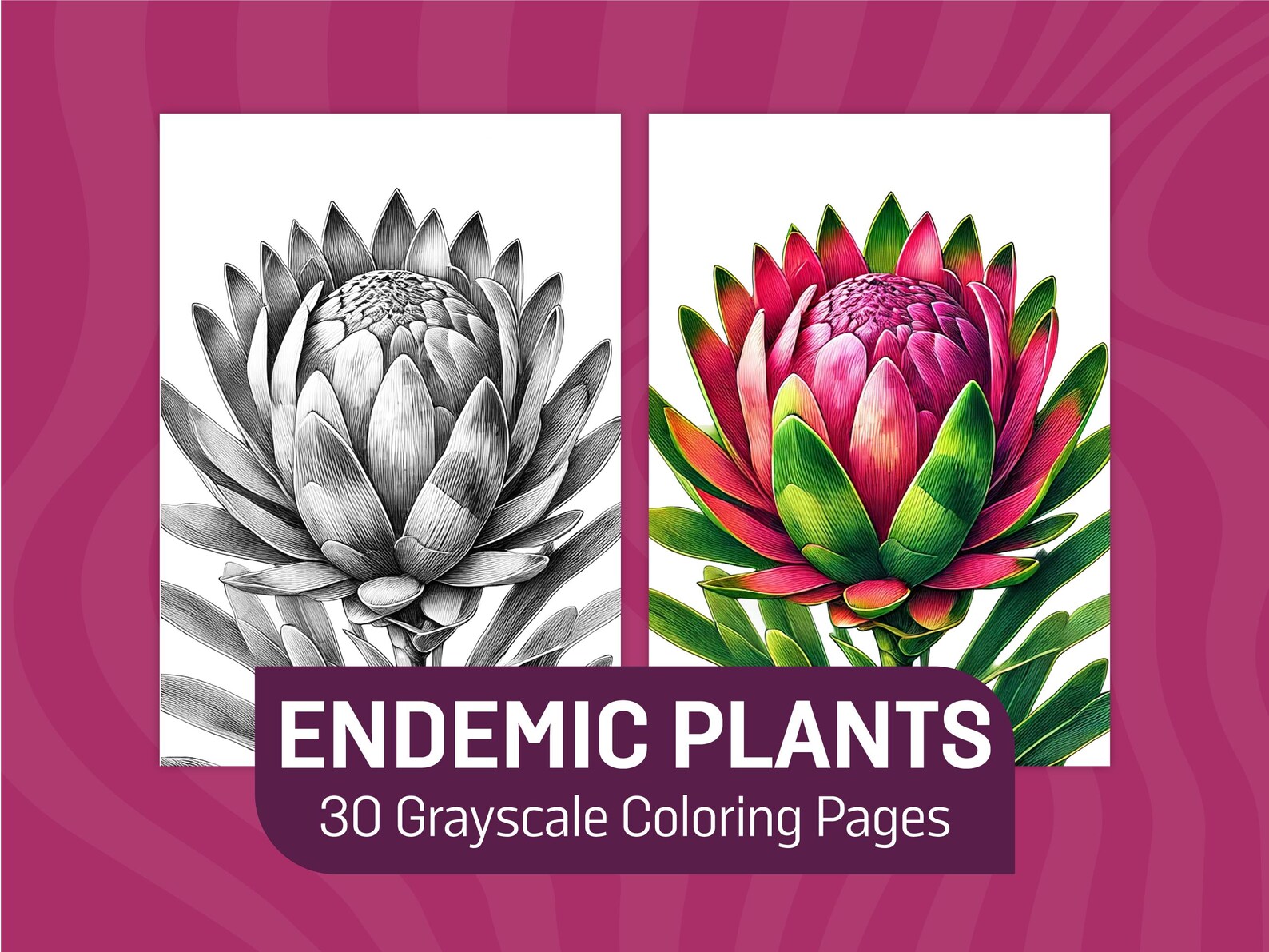 Grayscale Endemic Plants Coloring Pages | 30 Unique Botanical Coloring ...