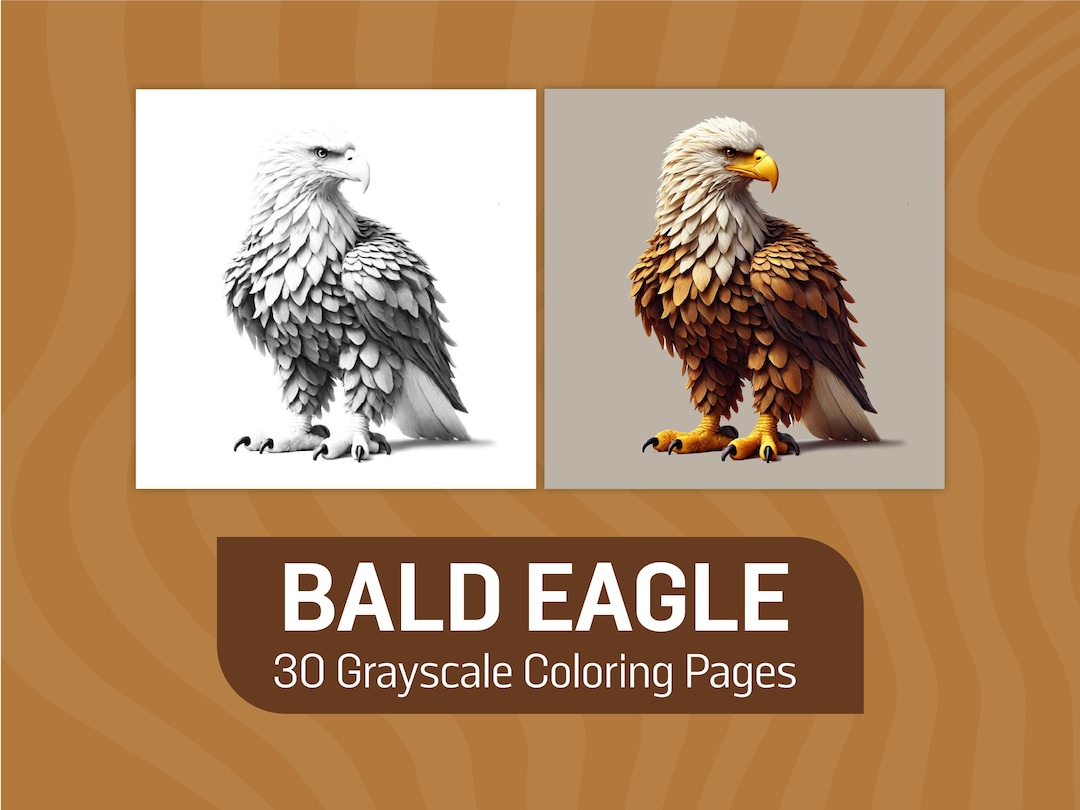 Bald Eagle Coloring Pages | Grayscale Bald Eagle Coloring Sheets for ...
