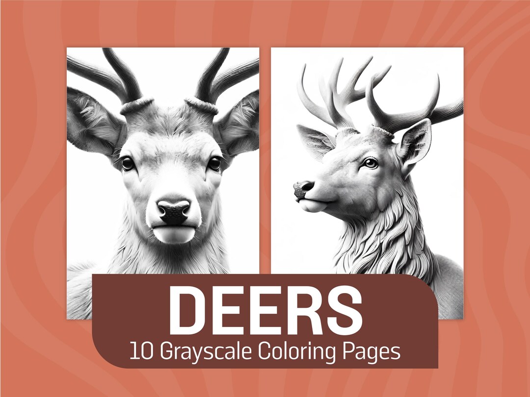 Grayscale Deer Coloring Pages for Adults and Kids | Printable Reindeer ...