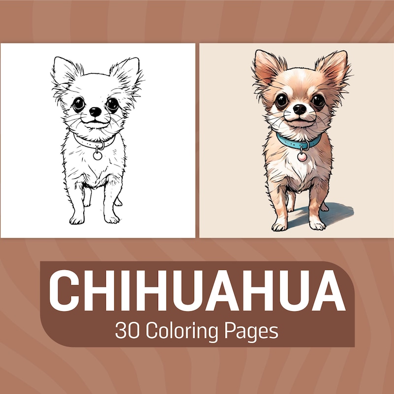 Chihuahua Coloring Sheet - Etsy
