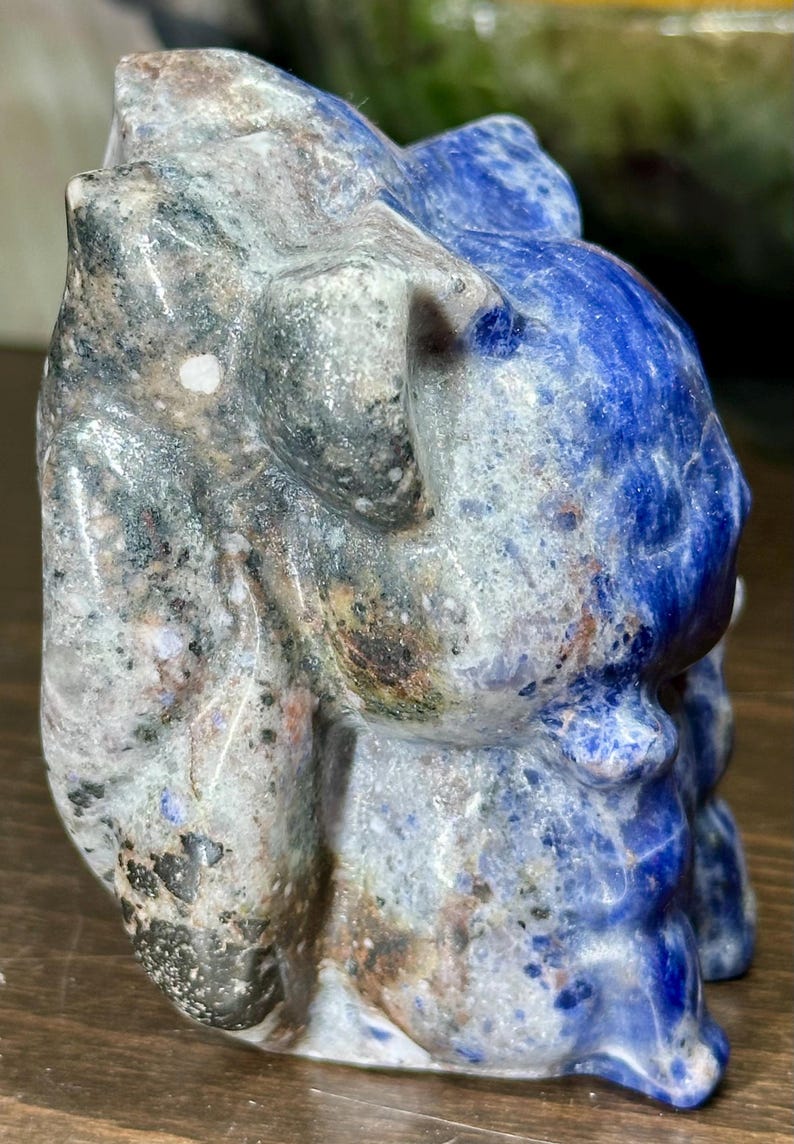 Sodalite Nine-tailed Fox Crystal Carving - Etsy