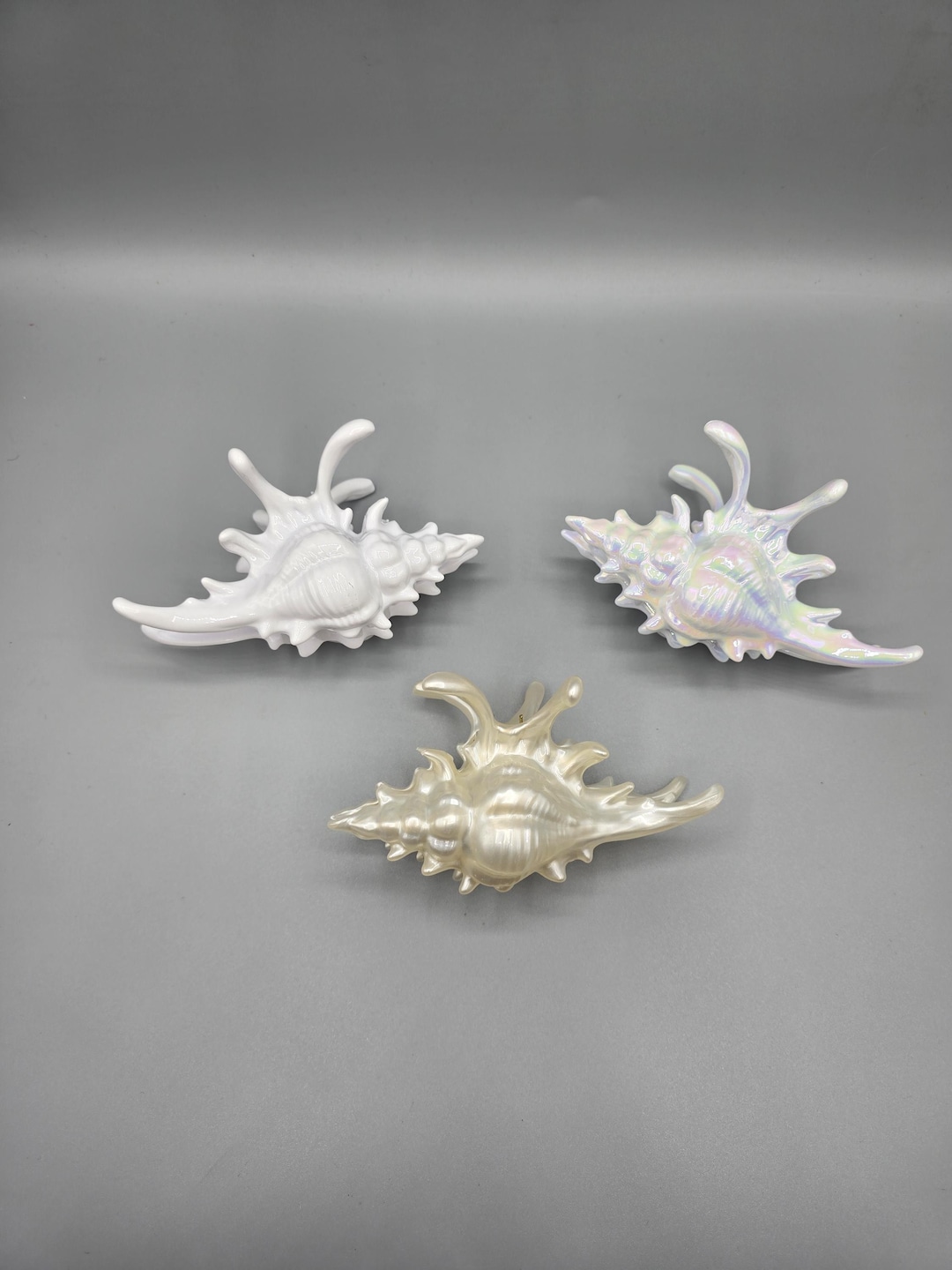 Sea Shell Conch Summer Fun Hair Claw Clip - Etsy