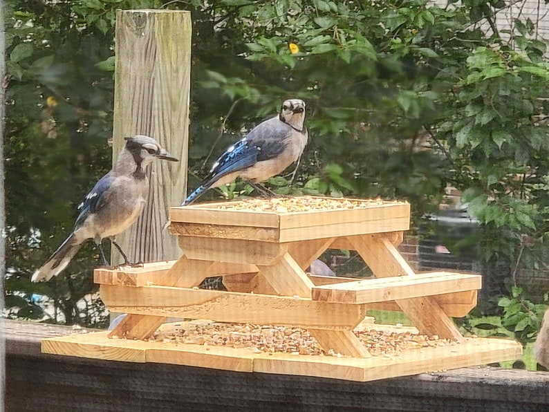 Bird Feeder Picnic Table - Etsy