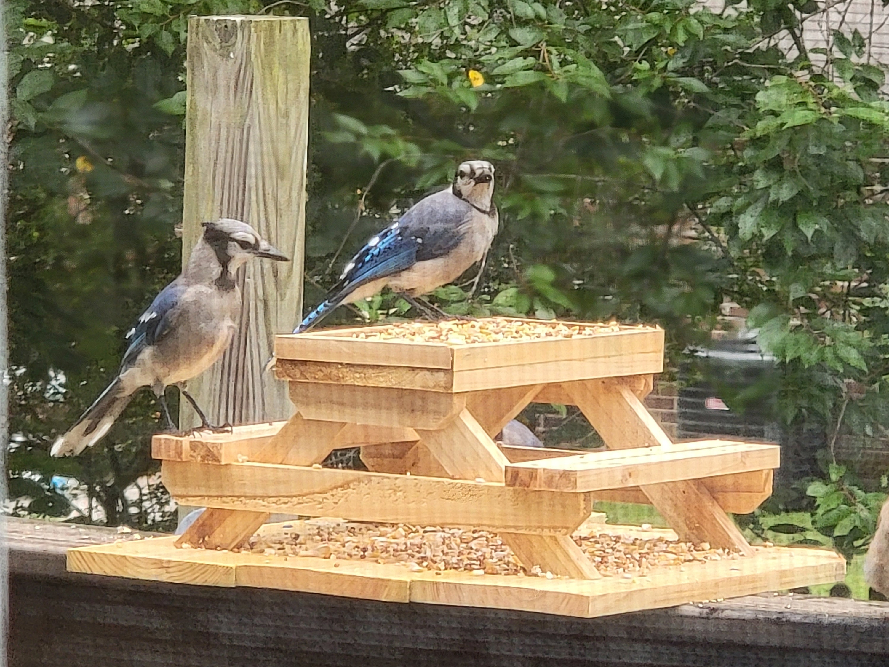 Bird Feeder Picnic Table - Etsy