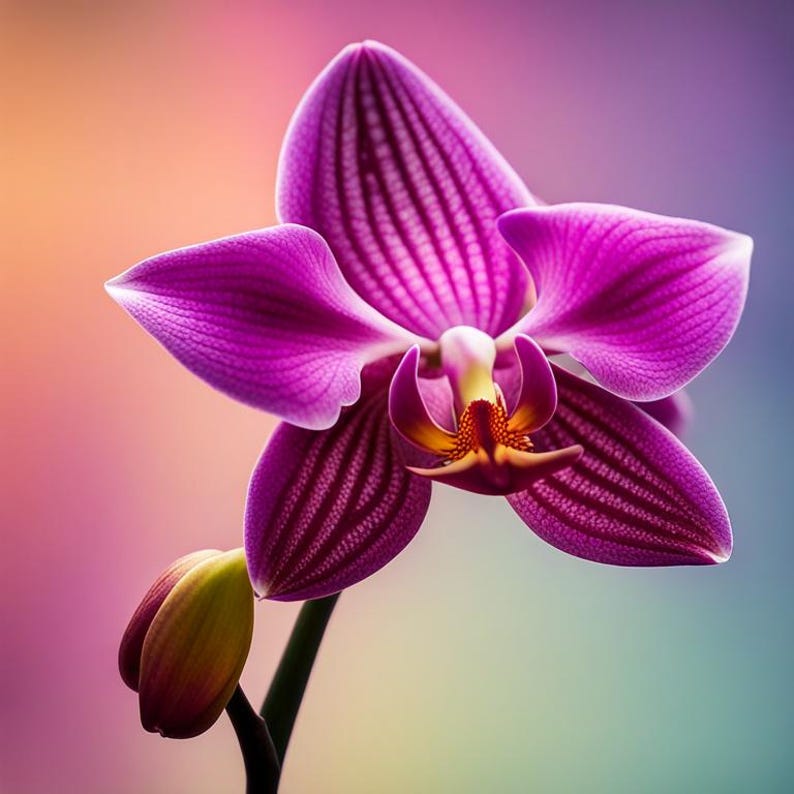 Vibrant Orchid T-shirt Design, Bundle, PNG Files, Custom Apparel and ...