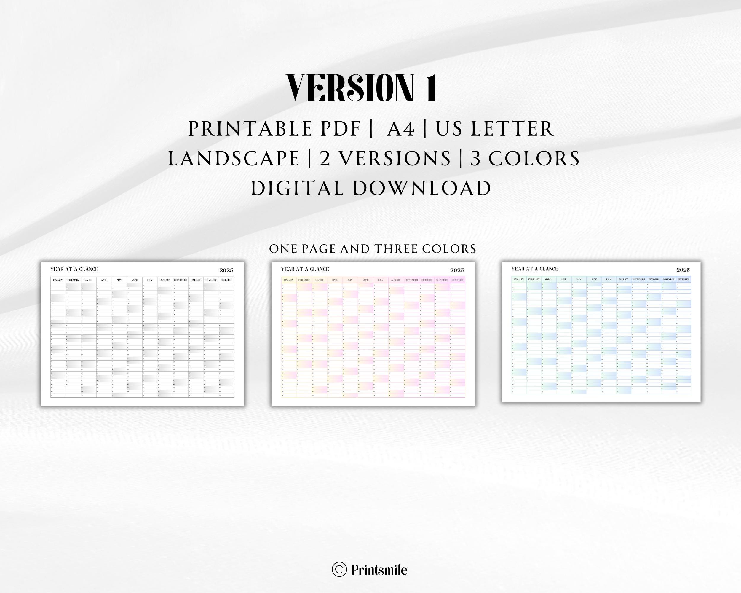 2025 Year at a Glance Printable Planner Yearly Overview Digital ...