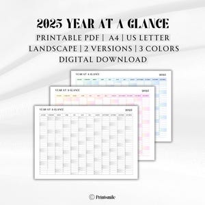 2025 Year at a Glance Printable Planner Yearly Overview Digital ...