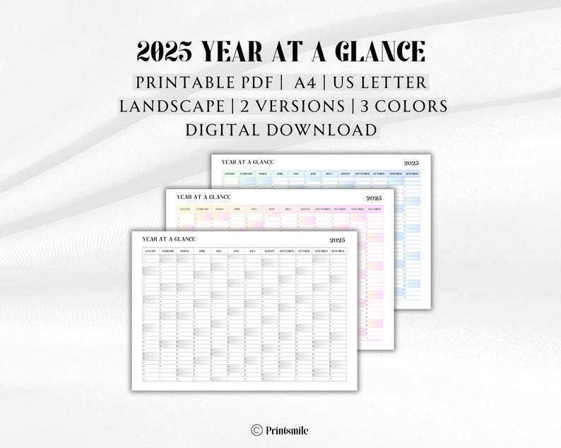 2025 Year at a Glance Printable Planner Yearly Overview Digital ...