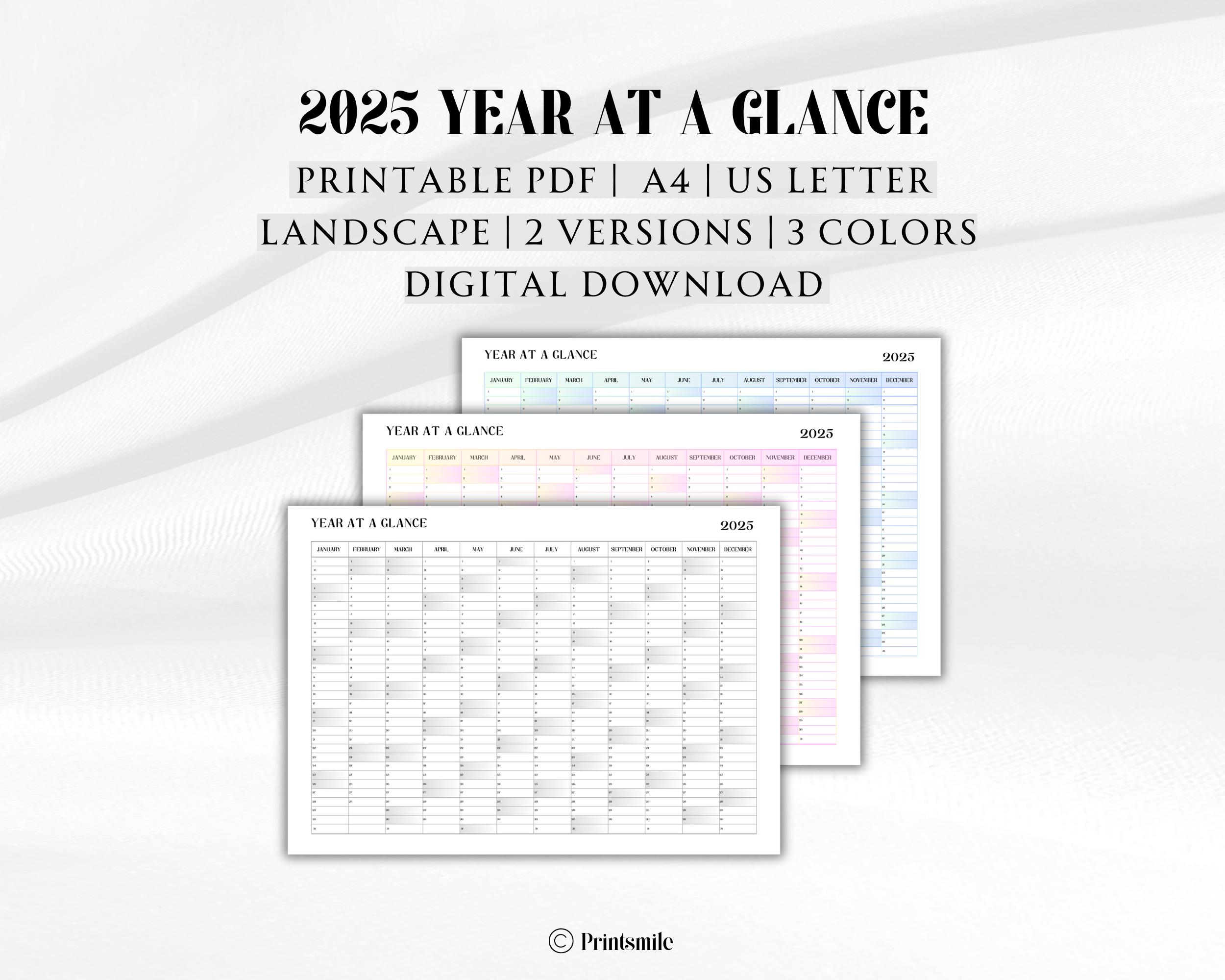 2025 Year at a Glance Printable Planner Yearly Overview Digital ...