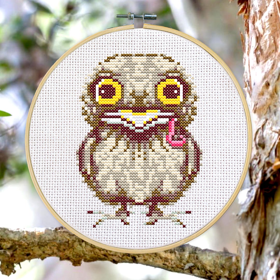 Colorful Australian Bird Cross Stitch Kit for Beginners - Modern ...
