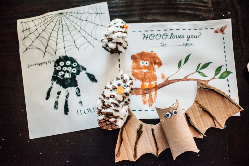 Spiders, Bats, and Owls! Oh, My! Unit Study, Nocturnal Animals Bundle ...