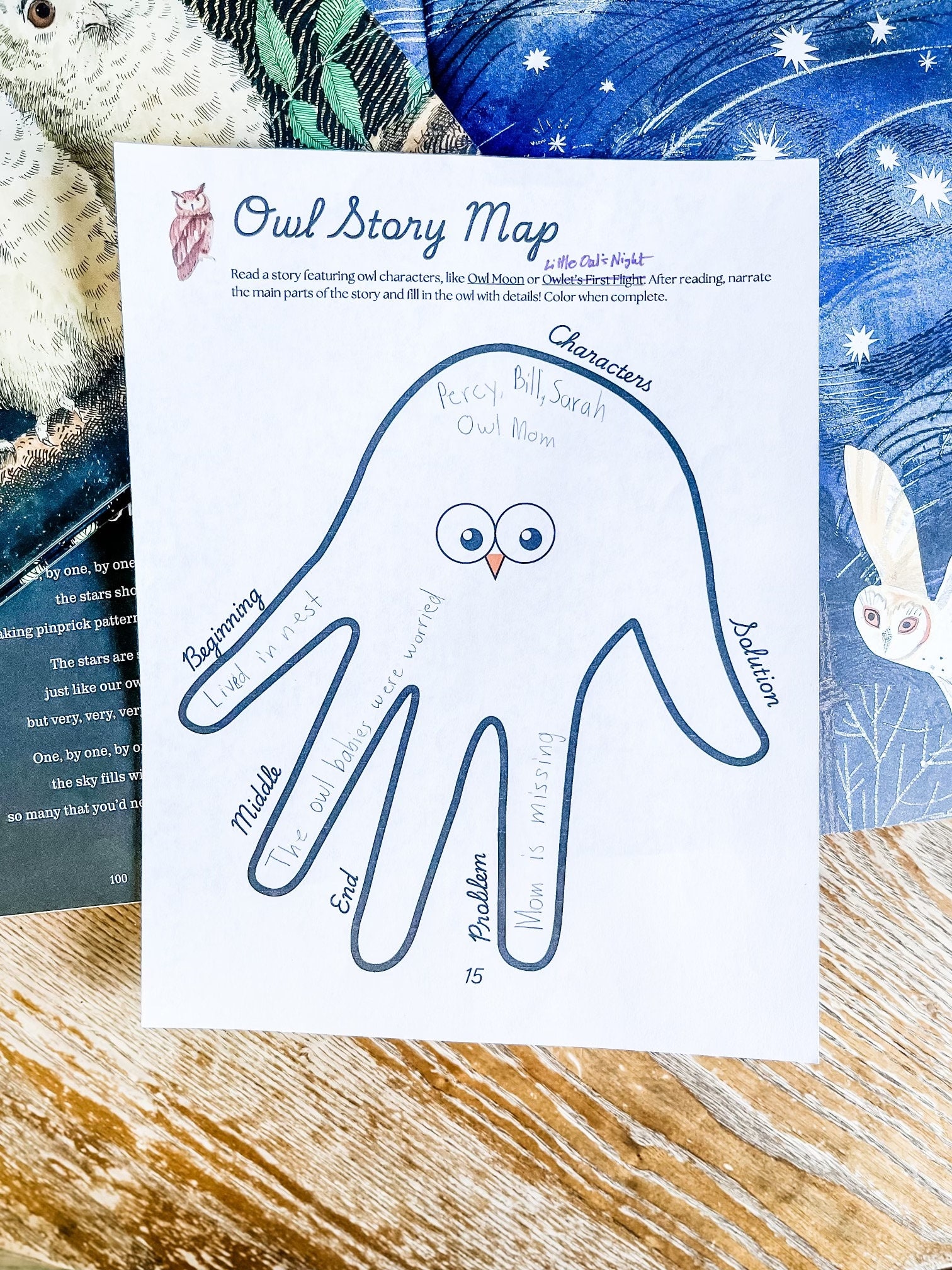 Spiders, Bats, and Owls! Oh, My! Unit Study, Nocturnal Animals Bundle ...