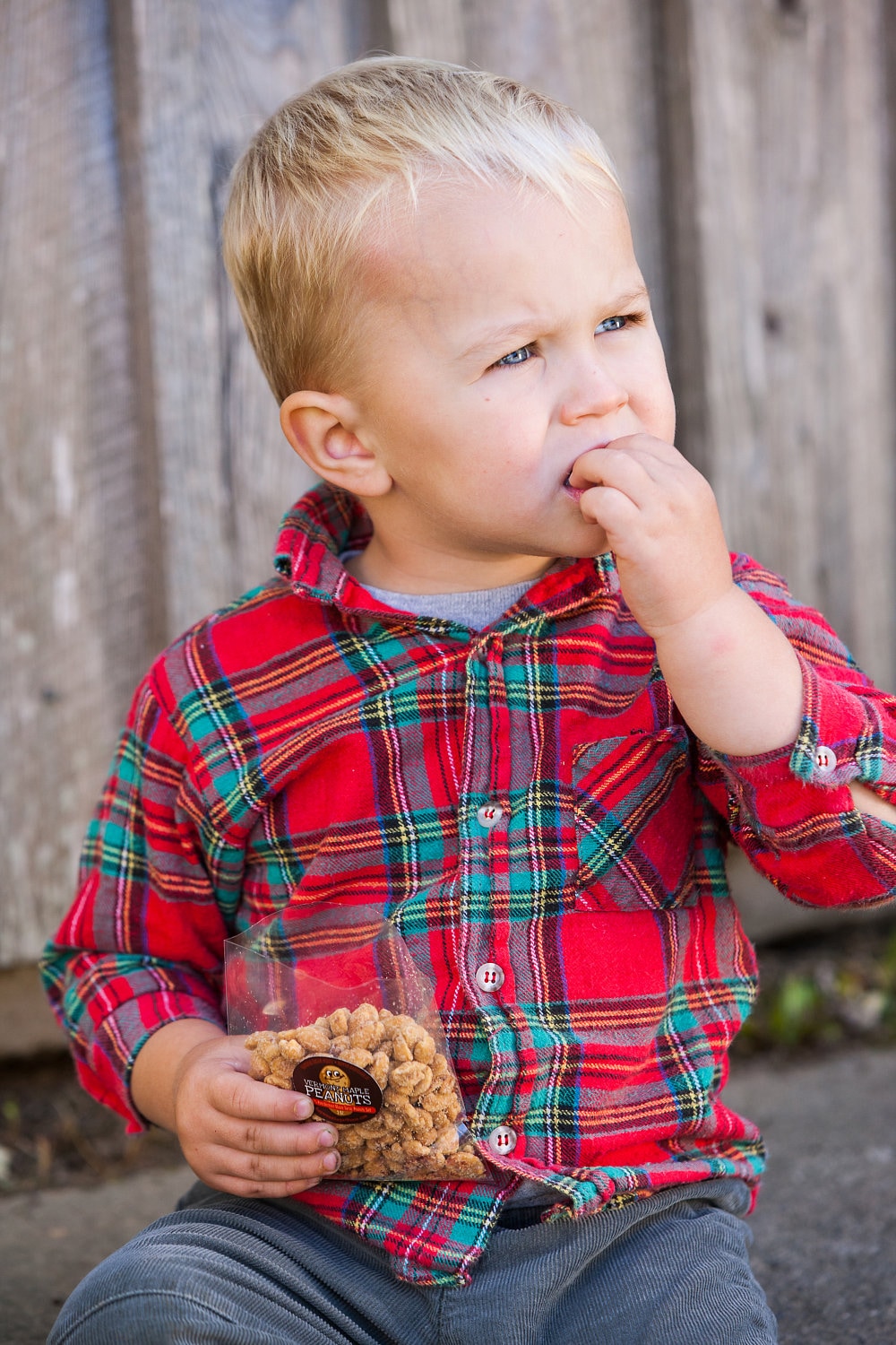 3 Individual Snack Packs 3oz Each Pure Vermont Maple Peanuts | Etsy