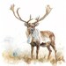 Deer Clipart PNG Design Printable Clipart Instant Download - Etsy