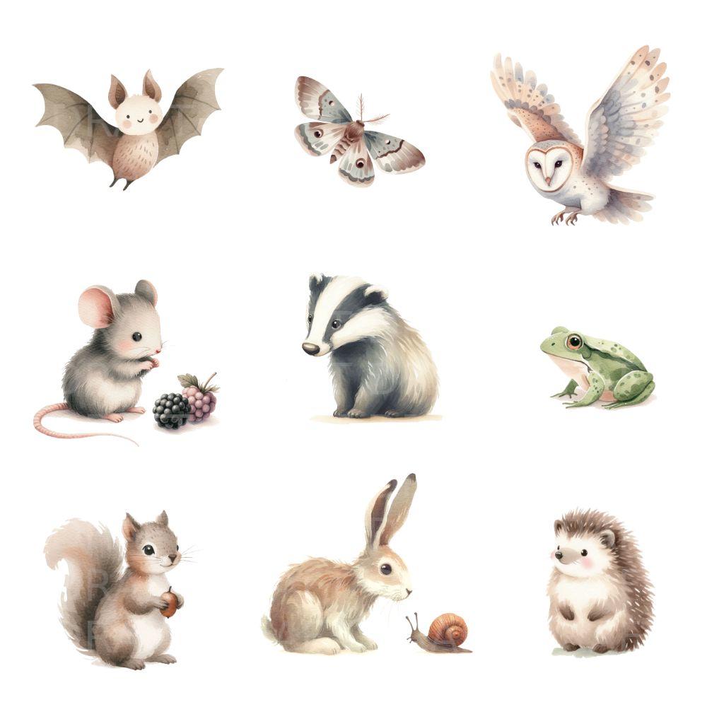Watercolor Woodland Animals Clipart Bundle, Forest PNG Set, Fawn, Deer ...