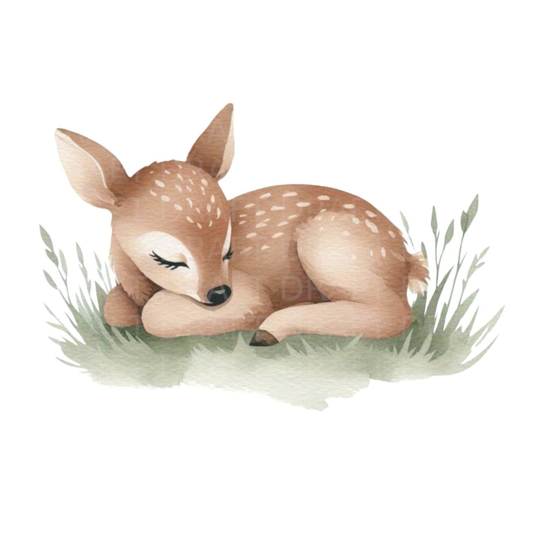 Sleeping Fawn, Baby Deer Watercolour Illustration, High Quality Digital ...