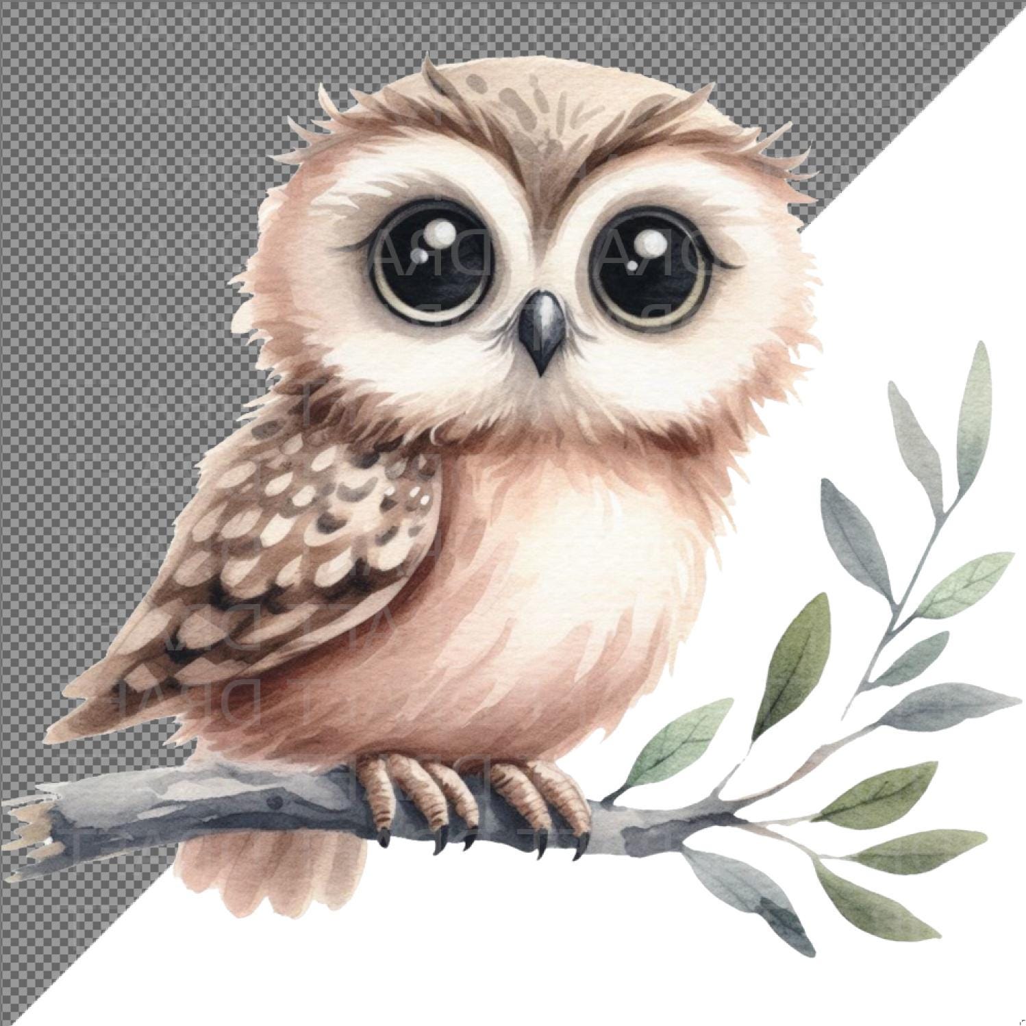 Cute Owl Whimsical Watercolour Illustration, High Quality Digital ...