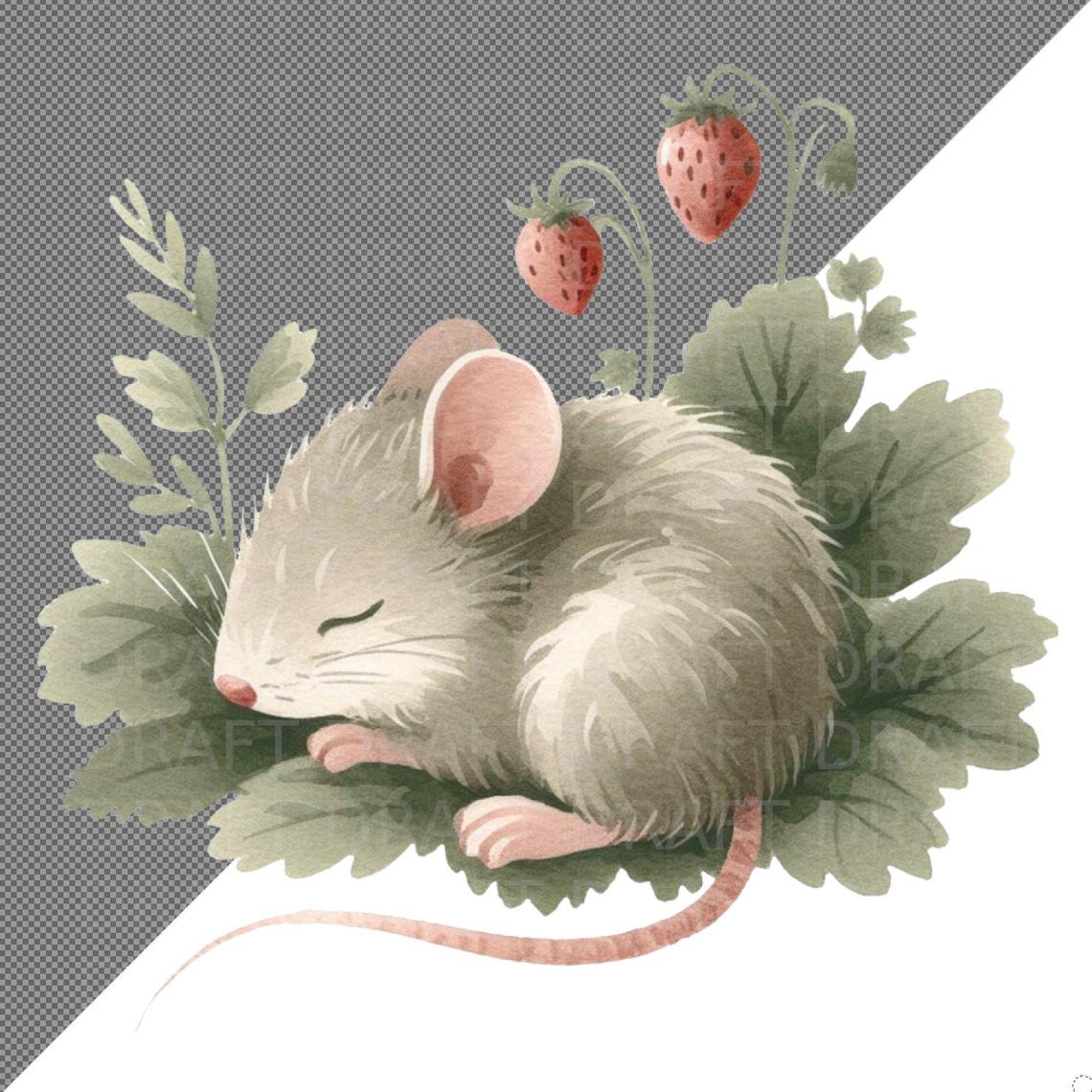 Sleeping Mouse Watercolour Illustration High Quality Digital Clipart ...