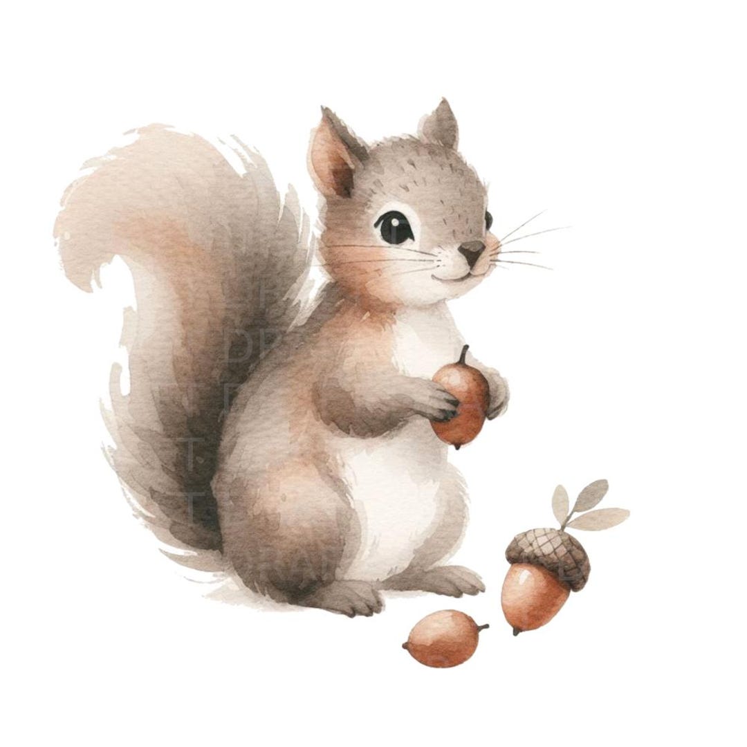 Squirrel And Acorns Watercolour Illustration High Quality Digital