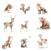 Watercolor Woodland Animals Clipart Bundle, Forest PNG Set, Fawn, Deer ...