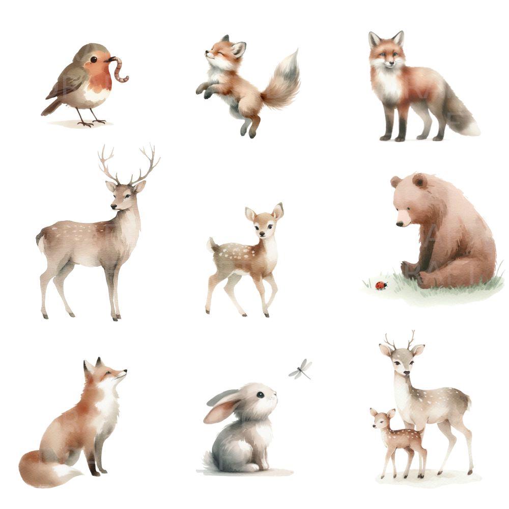 Watercolor Woodland Animals Clipart Bundle, Forest PNG Set, Fawn, Deer ...