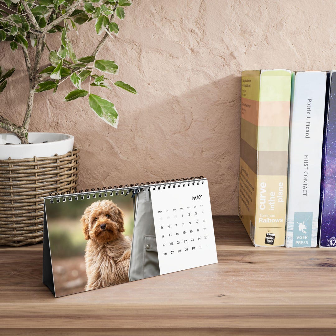 Desk Calendar, Valentines Cavapoo 2025 Dog Lover Gift Organizer, Office ...