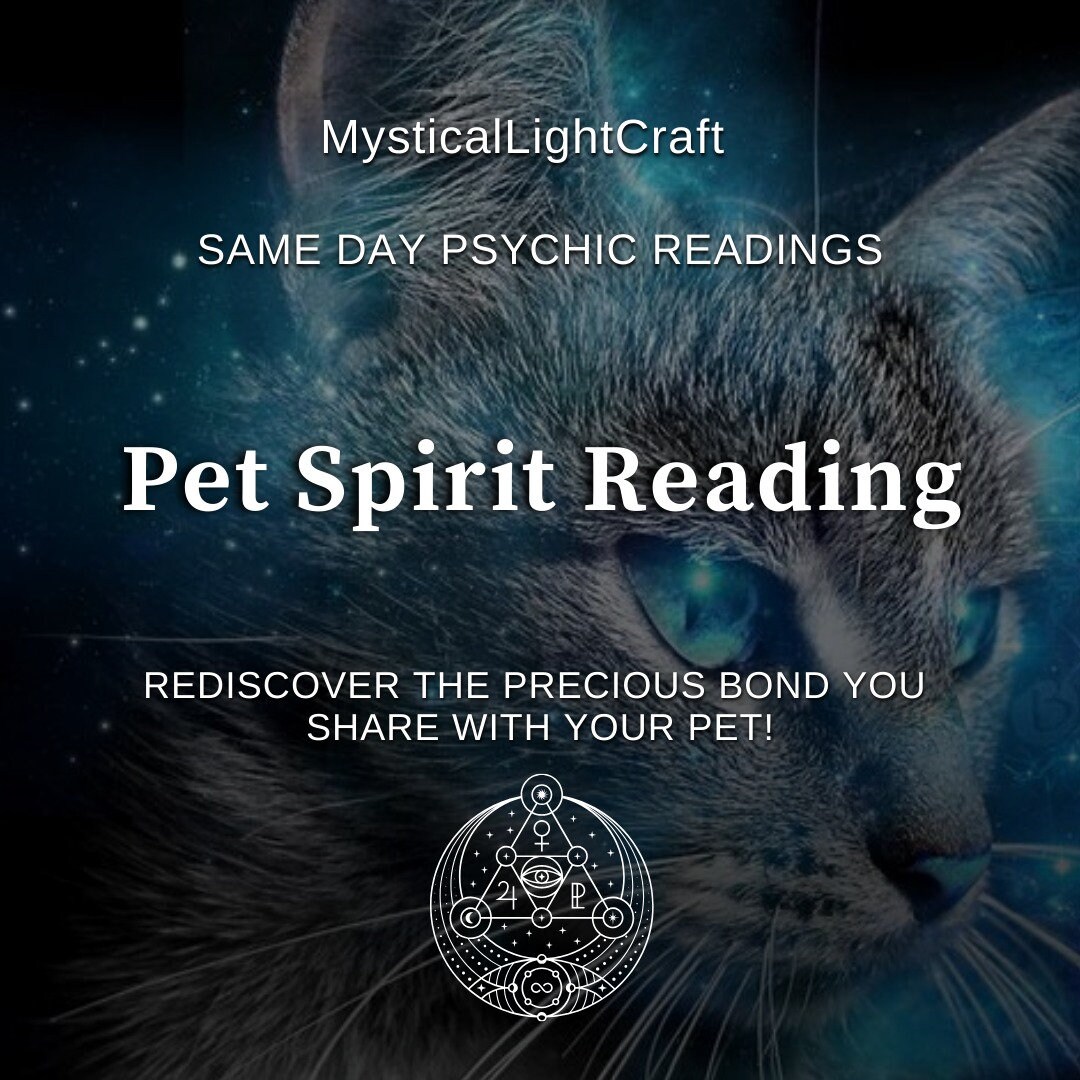 Pet Spirit Reading: Connect With Beloved Animals - Etsy