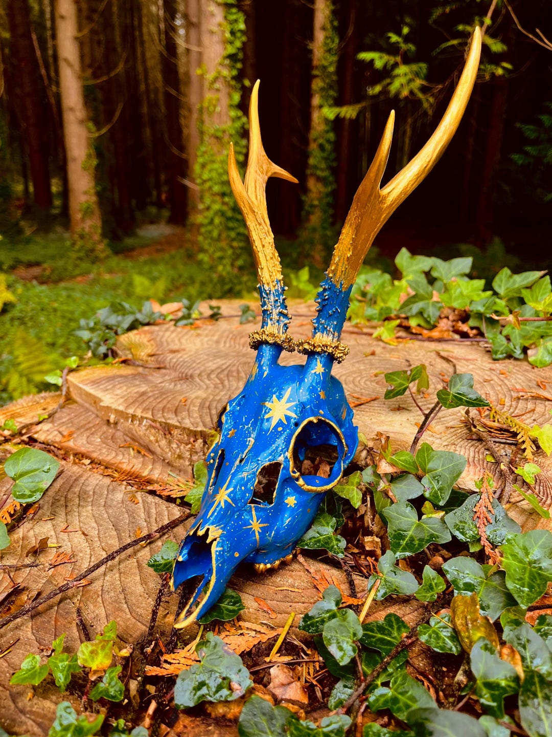 Big Sky Celestial Skull - Etsy