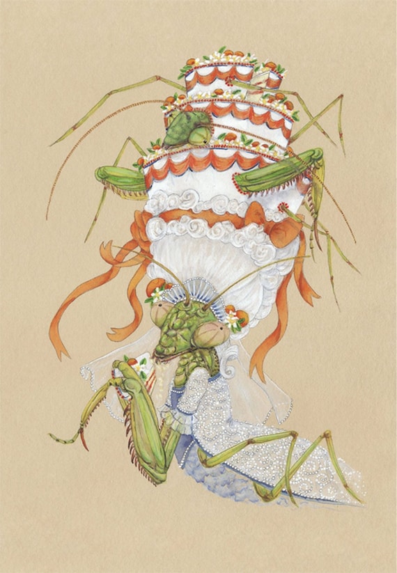 Praying Mantis Cards Set Blank Insect Cards Entomology Cards | Etsy