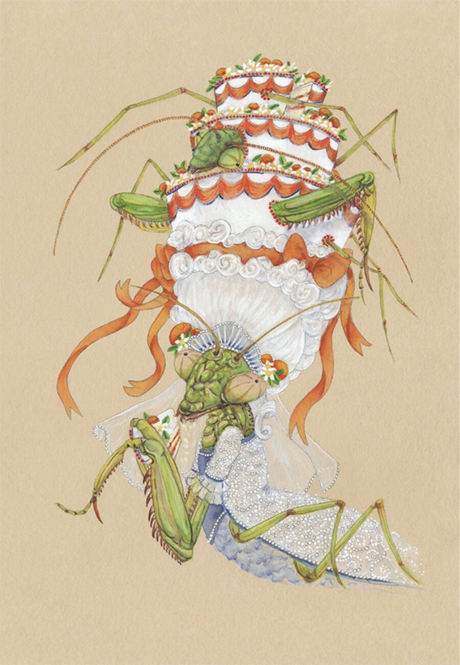 Praying Mantis Cards Set Blank Insect Cards Entomology Cards Feminist ...