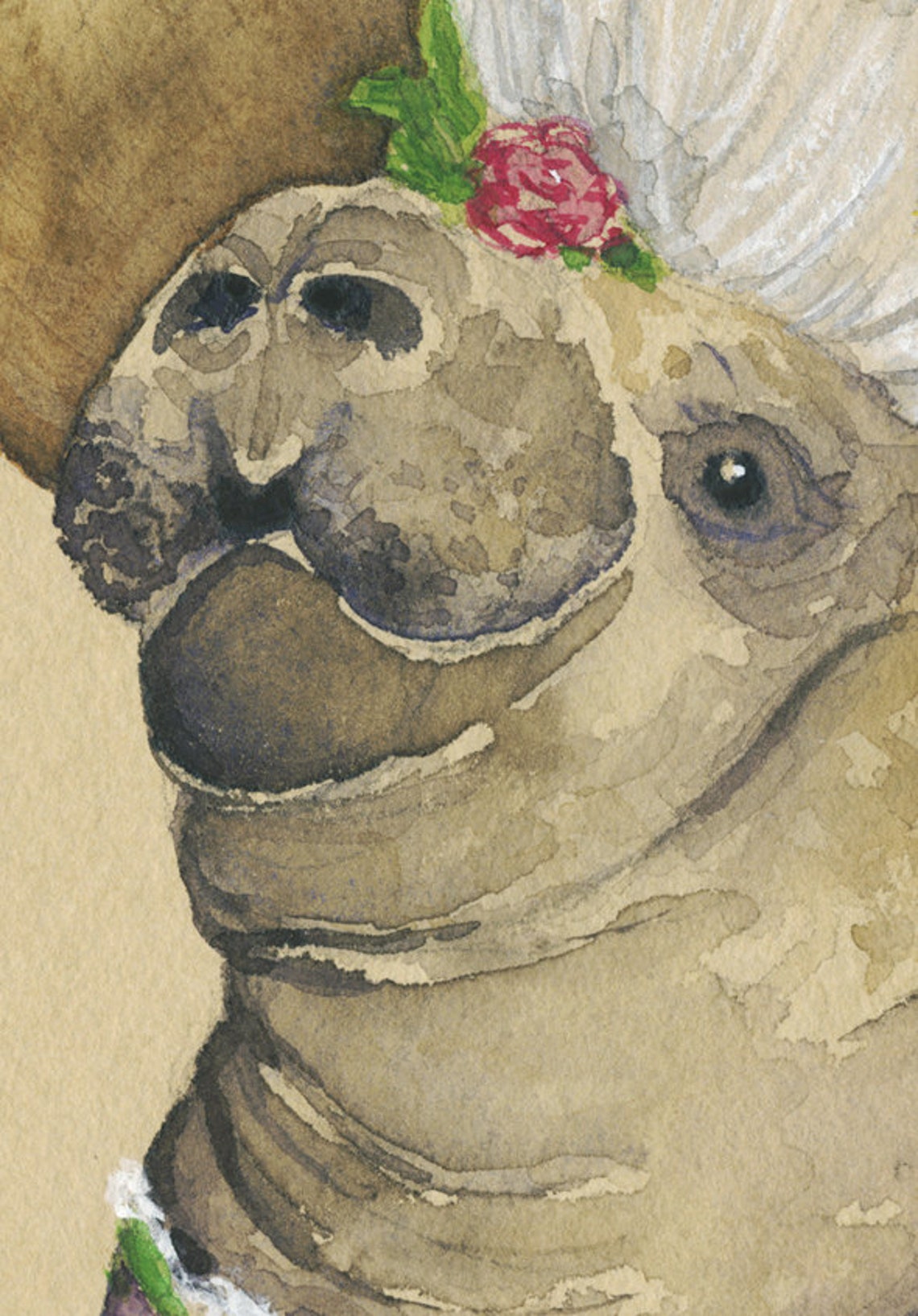 Manatee Cards Set Ocean Creatures Cards Ocean Wildlife Cards Ocean ...