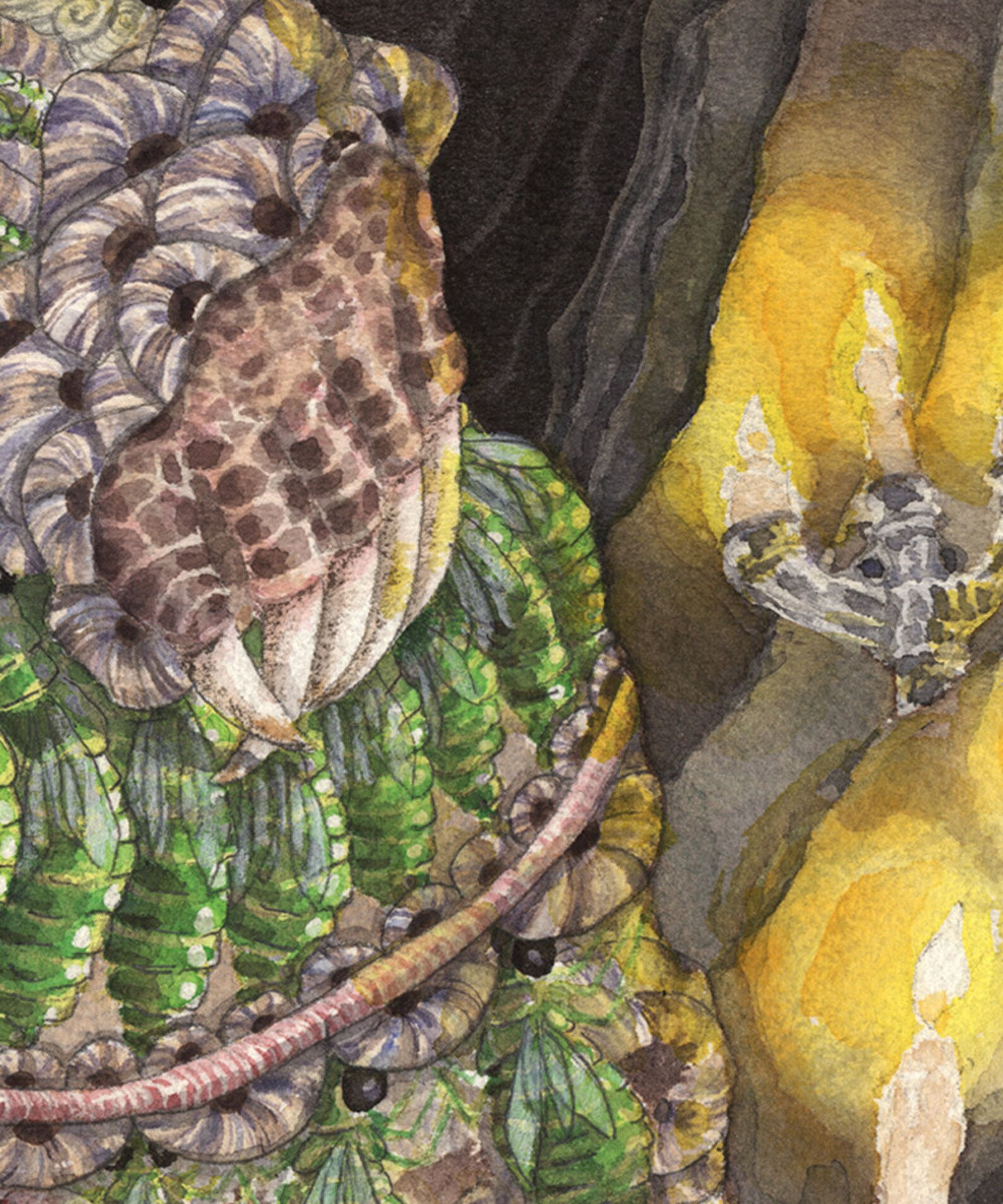 Star Nosed Mole Gift Marie Antoinette Style Print Earthworms - Etsy