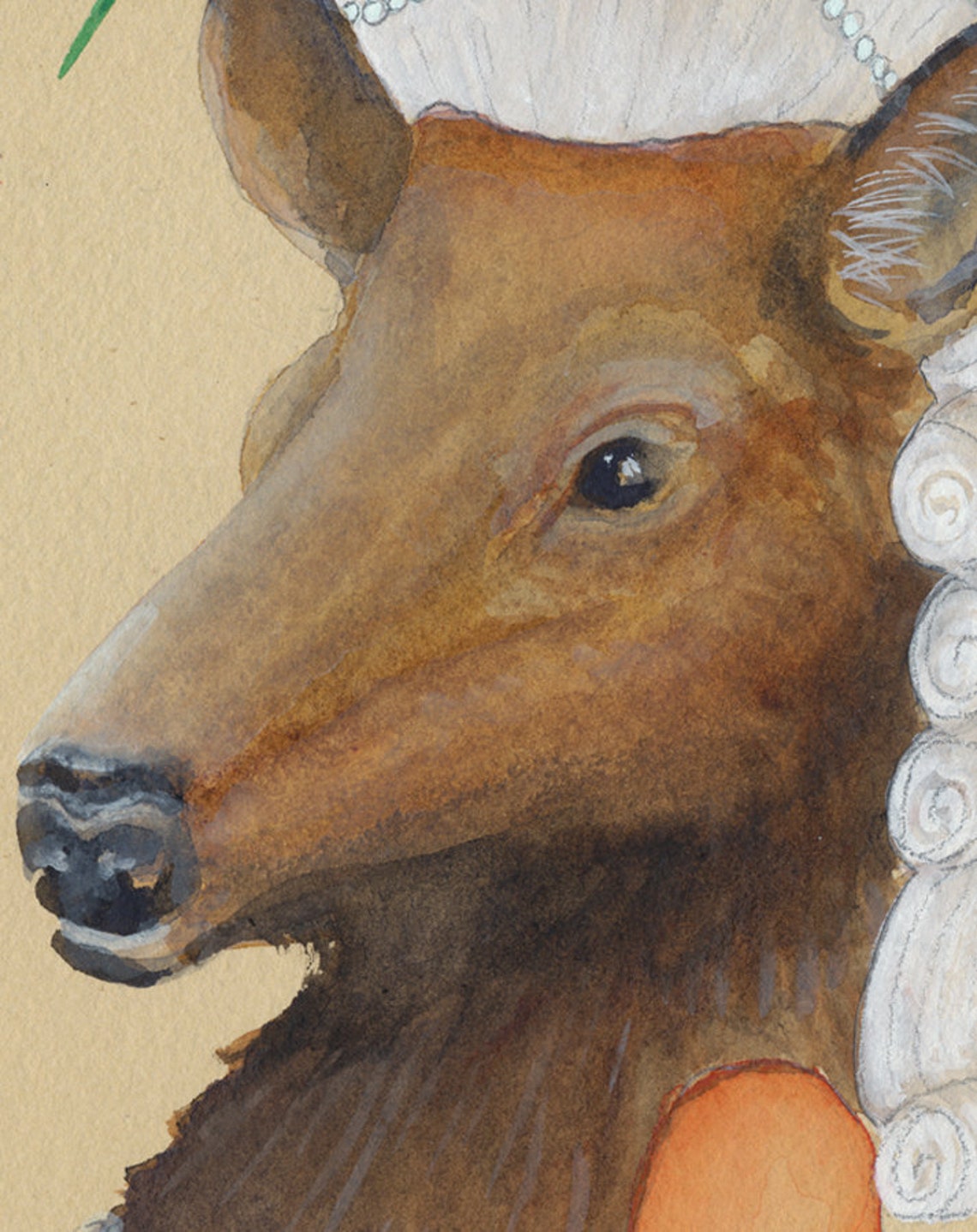 Deer Cards Elk Cards Woodland Animal Cards Letter W Cards Vegetable ...