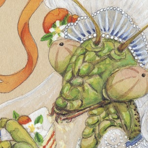 Praying Mantis Cards Set Blank Insect Cards Entomology Cards Feminist ...