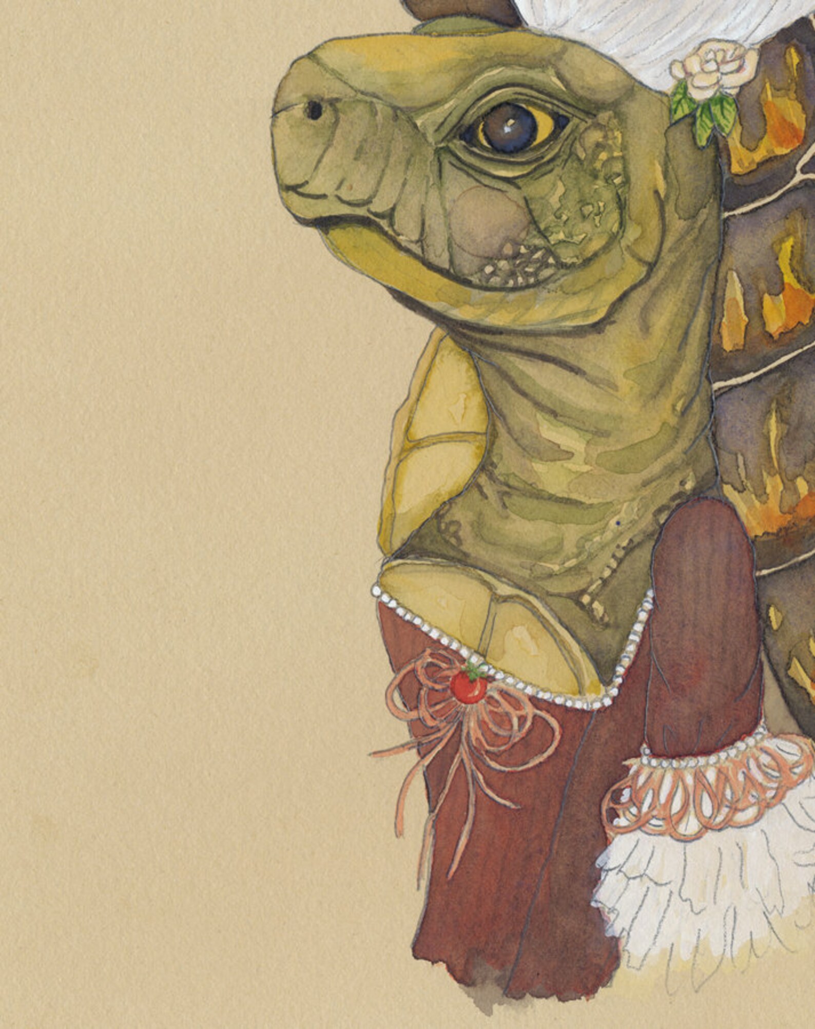 T is for Turtle Cards Red Tomato Cards Tortoise Cards - Etsy