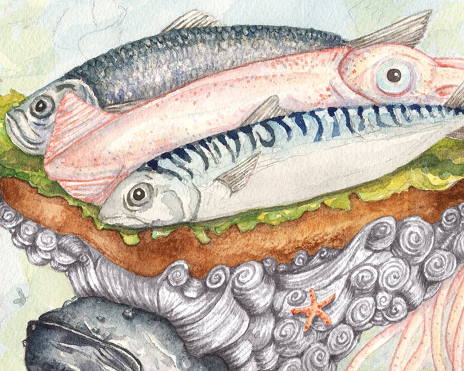 Humpback Whale Cards Whale Invitations Pretty Whale Thank You Cards ...