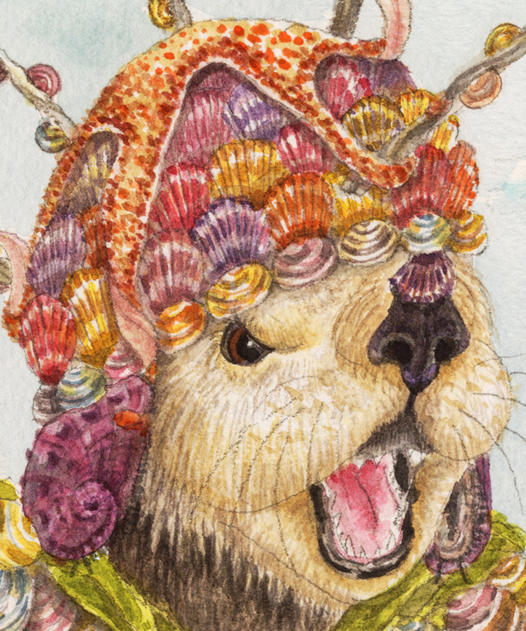 Sea Otter Cards, Ocean Wildlife Cards, Crab Cards, Sea Urchin Cards ...