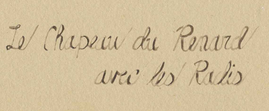 French Animal Alphabet Letter R Renard Et Les Radis Fox and Radish ...