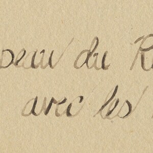 French Animal Alphabet Letter R Renard Et Les Radis Fox and Radish ...