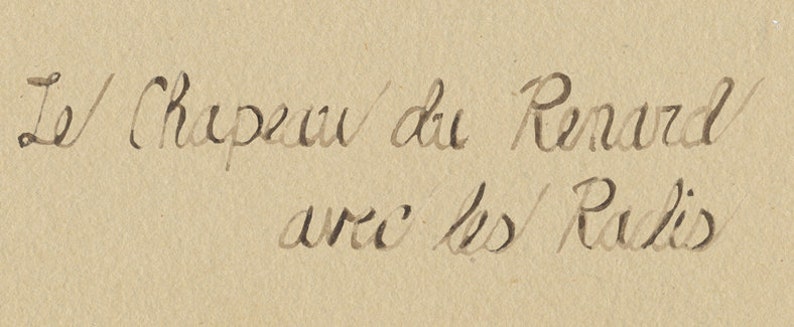 French Animal Alphabet Letter R Renard Et Les Radis Fox and - Etsy