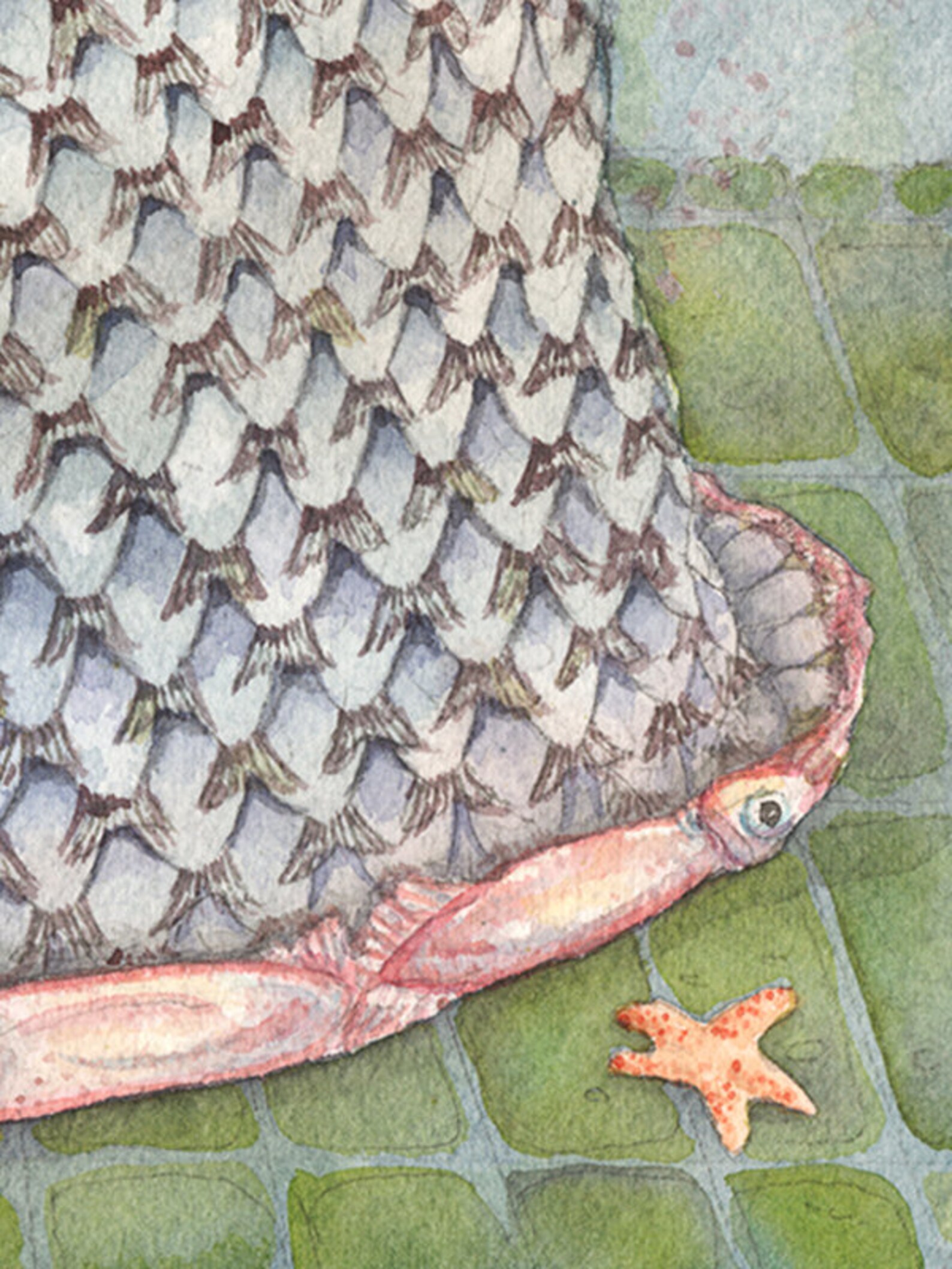 Humpback Whale Cards Whale Invitations Pretty Whale Thank You - Etsy