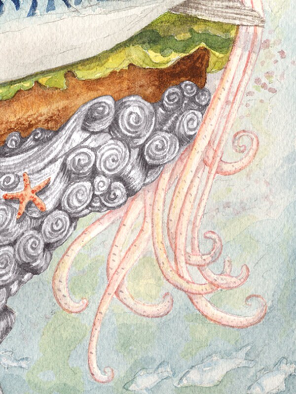 Humpback Whale Cards Whale Invitations Pretty Whale Thank You Cards ...