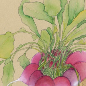 French Animal Alphabet Letter R Renard Et Les Radis Fox and Radish ...