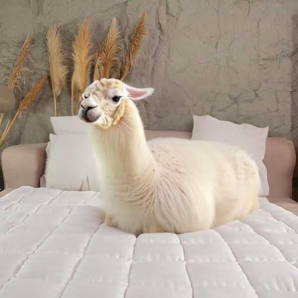 Wool Mattress Topper - Etsy